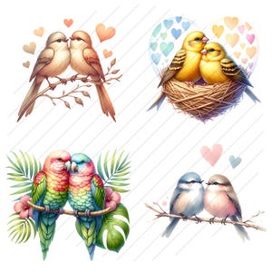 Cute Bird Clipart Bundle Watercolor Birds PNG Images Bird Couple ...
