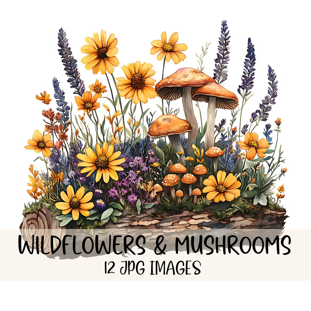 Fall Mushroom Clipart Autumn Wildflower Clipart Woodland Log ...