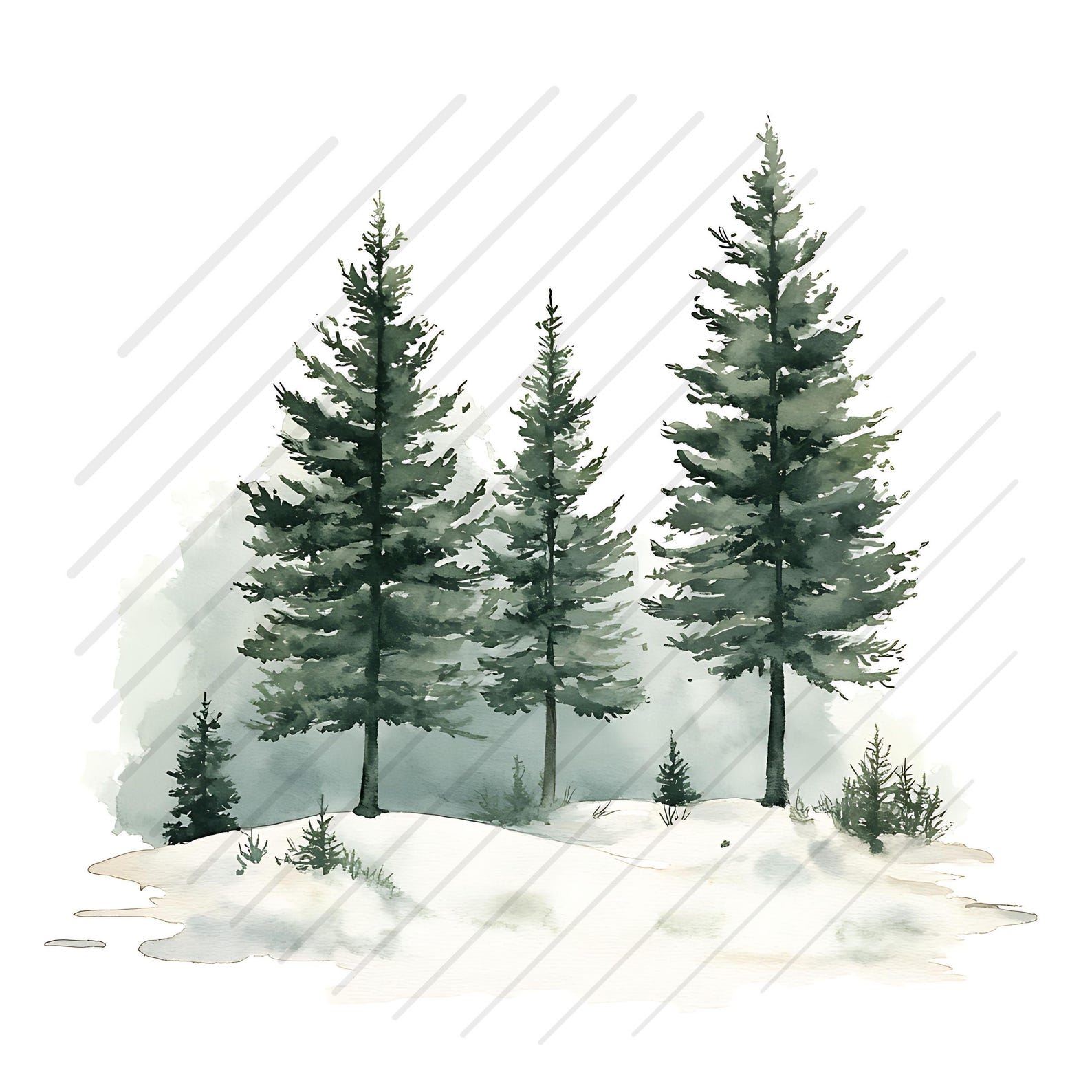 Snowy Pine Tree Clipart Winter Landscape High Quality Jpgs Pine Tree ...