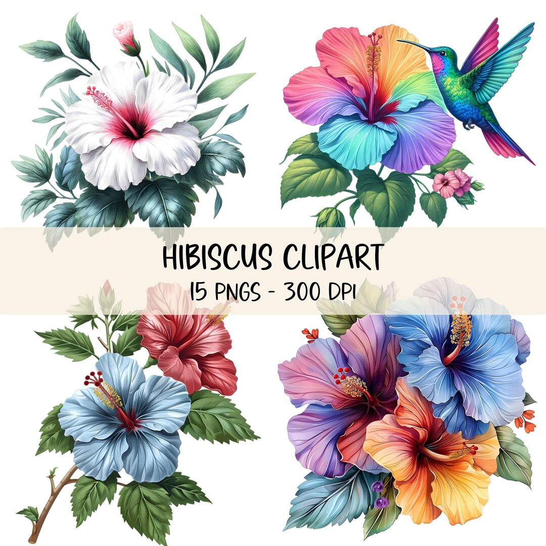 Watercolor Hibiscus Clipart Bundle Rainbow Flower PNG Hummingbird ...