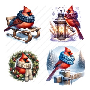Christmas Red Cardinal Clipart Bundle Winter Bird JPG Red Cardinal Snow ...