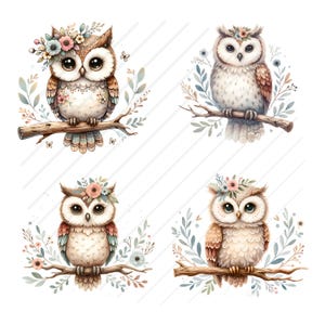 Floral Owl Clipart Bundle Watercolor Owl JPG Images Woodland Animal ...