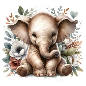 Cute Baby Safari Clipart Bundle Safari Animal JPG Watercolor Safari ...