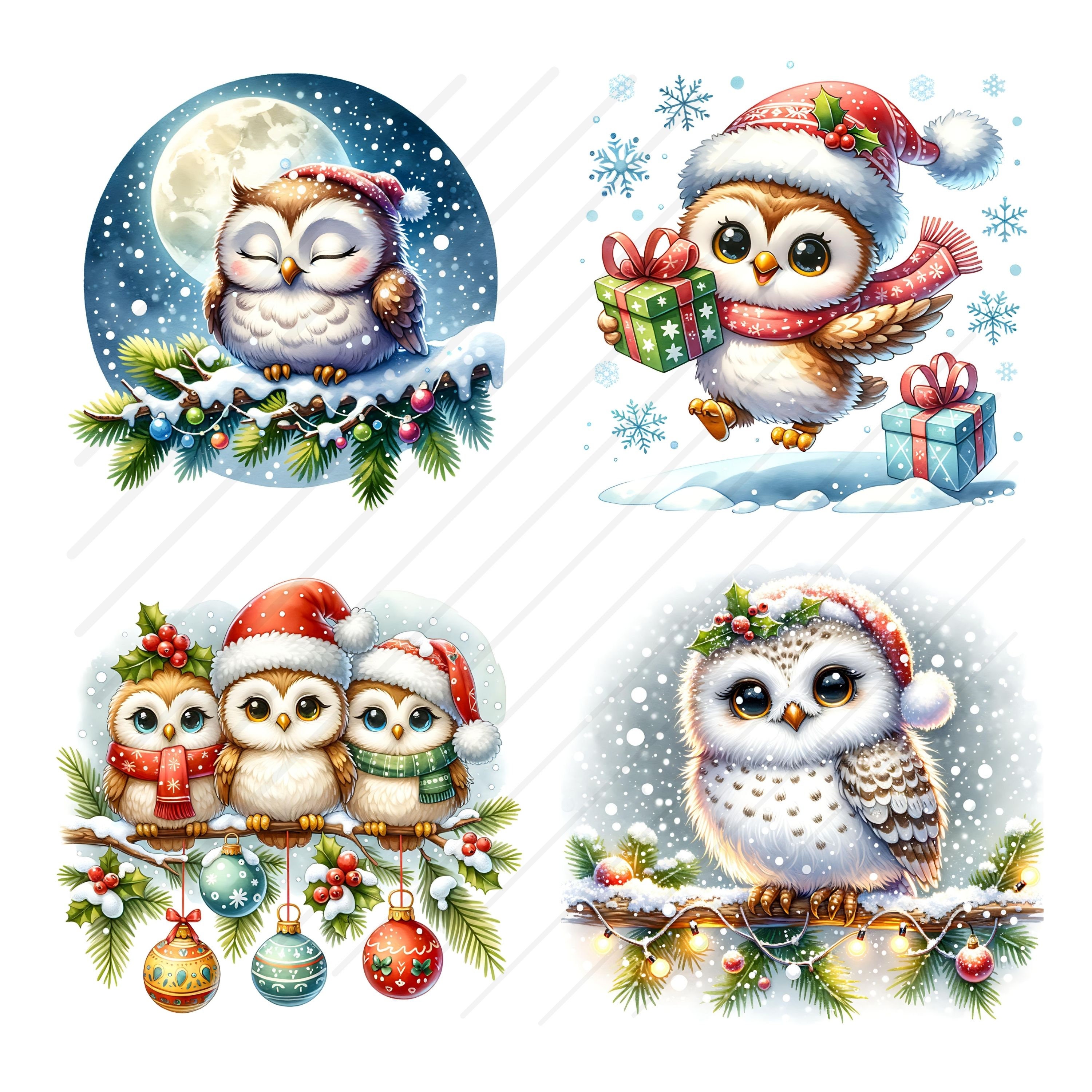 Christmas Owl Clipart Cute Winter Owl Art Festive Animal Clipart ...