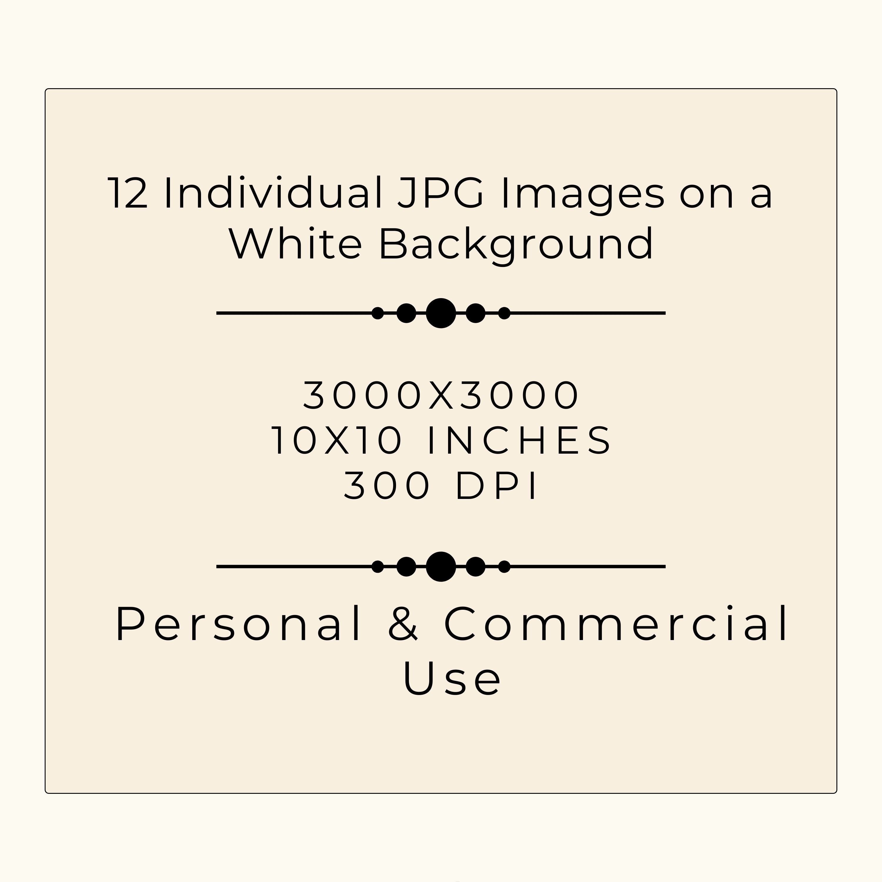 Watercolor Fall Pumpkin Clipart Bundle Sunflower Autumn Harvest Clip ...