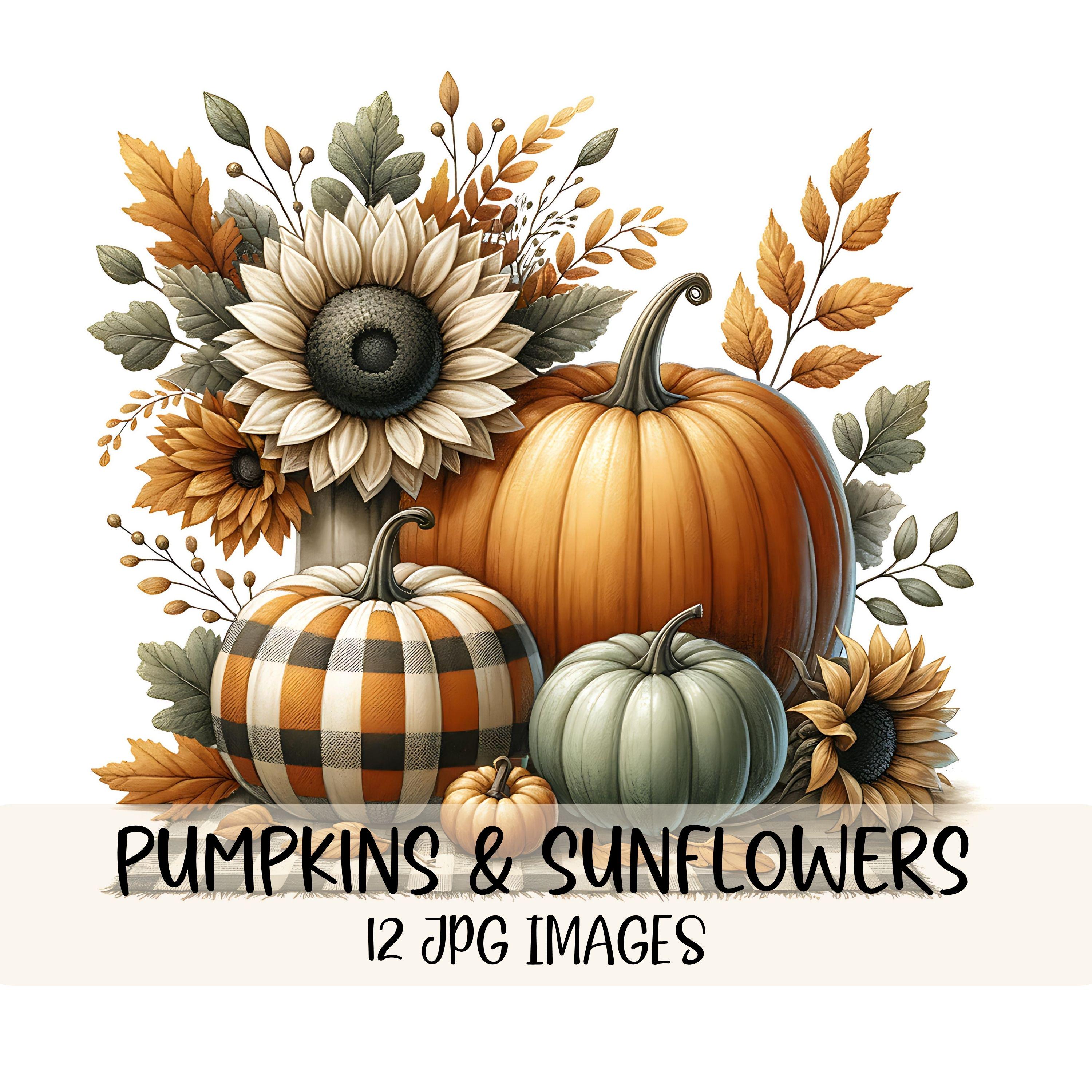 Plaid Pumpkin Clipart Bundle Fall Clipart Autumn Harvest Clipart High ...