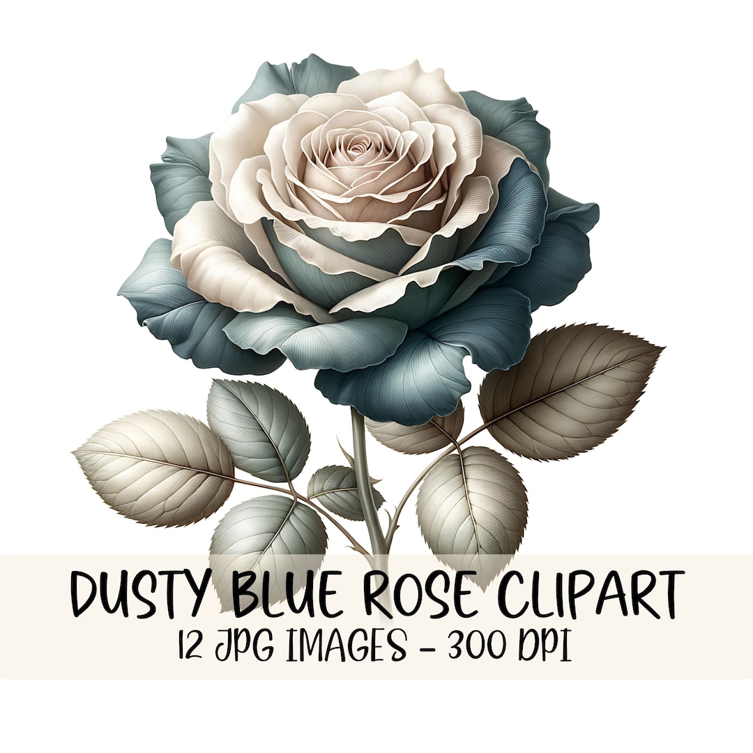 Dusty Blue Rose Clipart Bundle JPG Images Watercolor Rose Bouquet ...