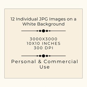 Christmas Red Cardinal Clipart Bundle Winter Bird JPG Red Cardinal Snow ...