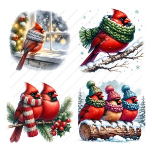 Christmas Red Cardinal Clipart Bundle Winter Bird JPG Red Cardinal Snow ...