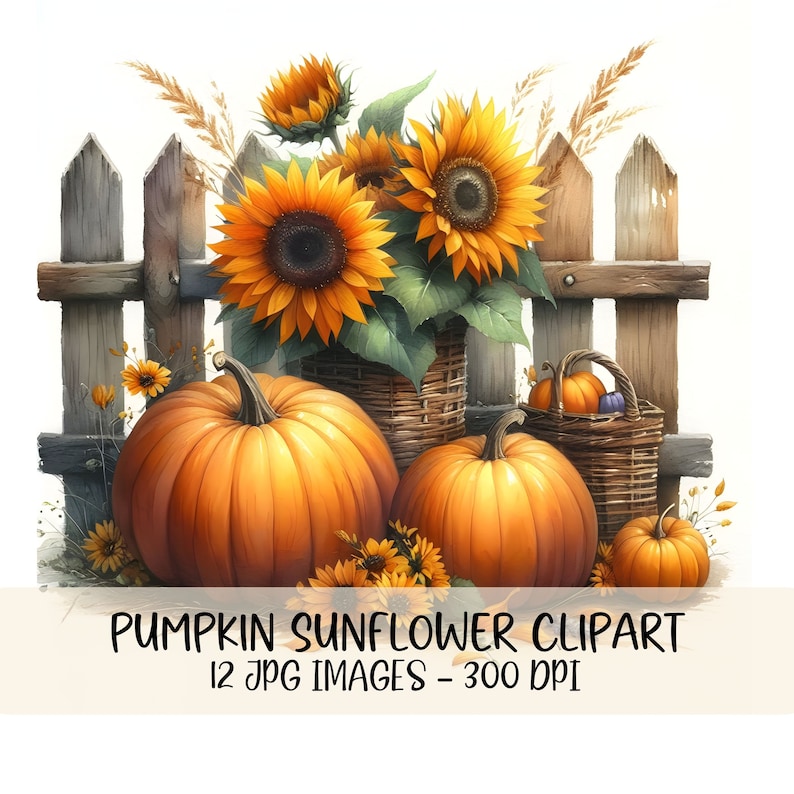 Watercolor Fall Pumpkin Clipart Bundle Sunflower Autumn Harvest Clip ...