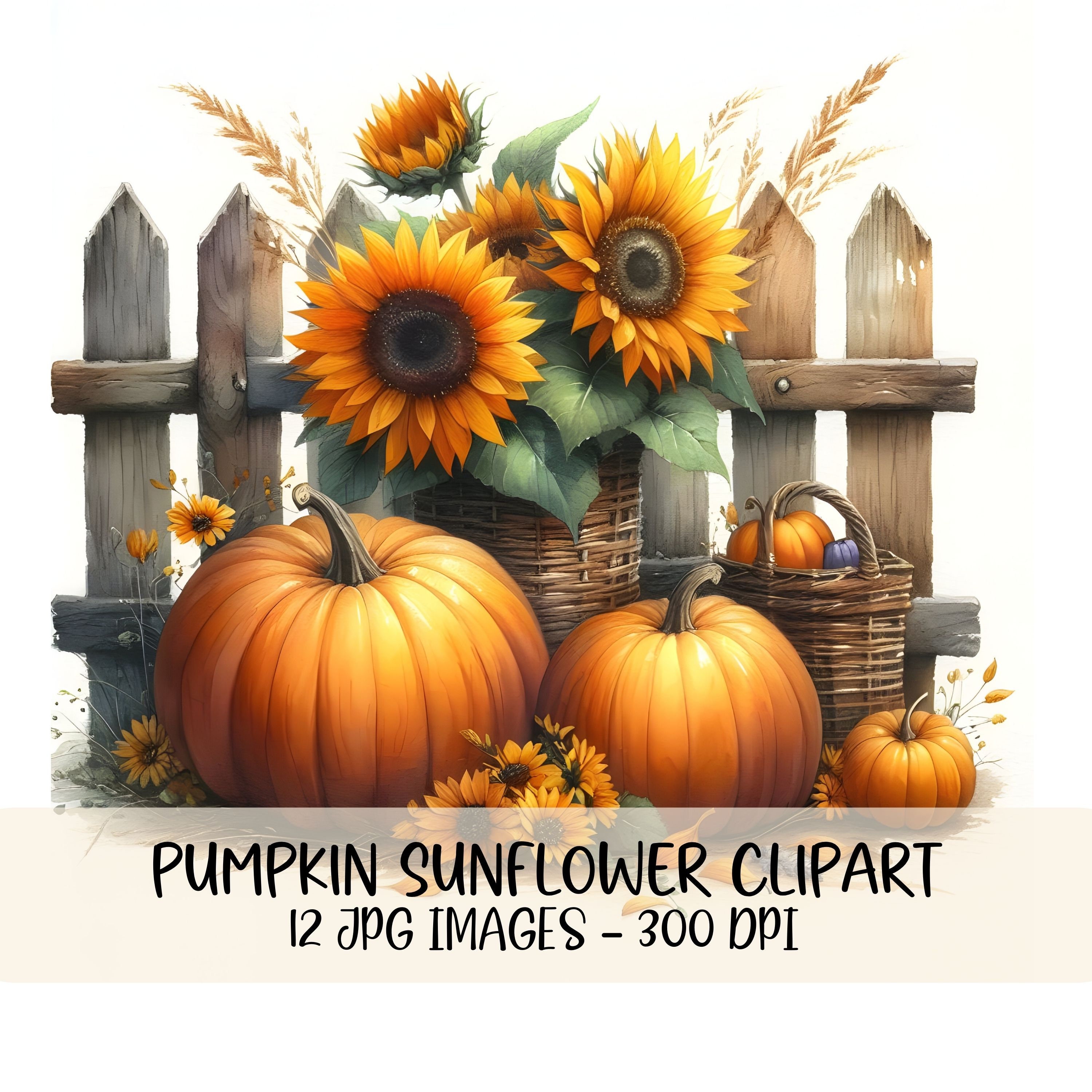Watercolor Fall Pumpkin Clipart Bundle Sunflower Autumn Harvest Clip ...