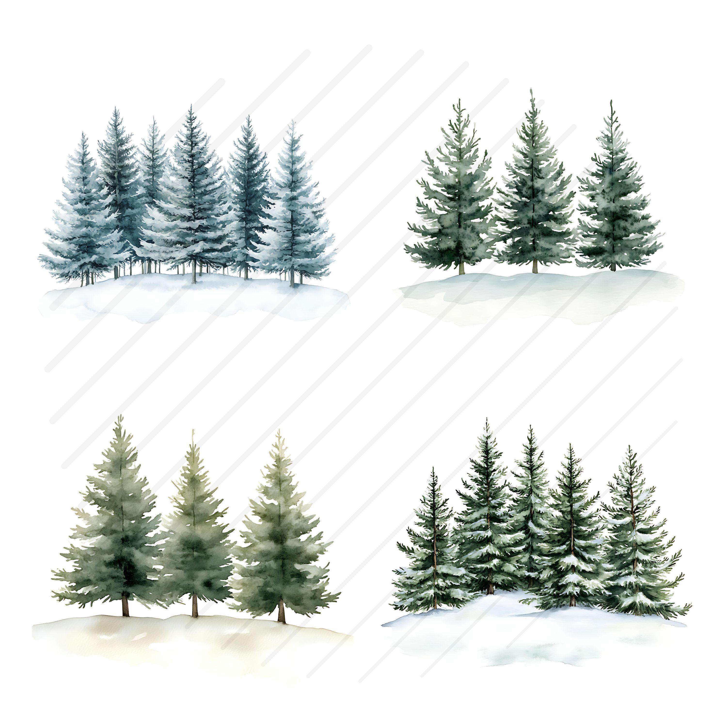 Snowy Pine Tree Clipart Winter Landscape High Quality Jpgs Pine Tree ...