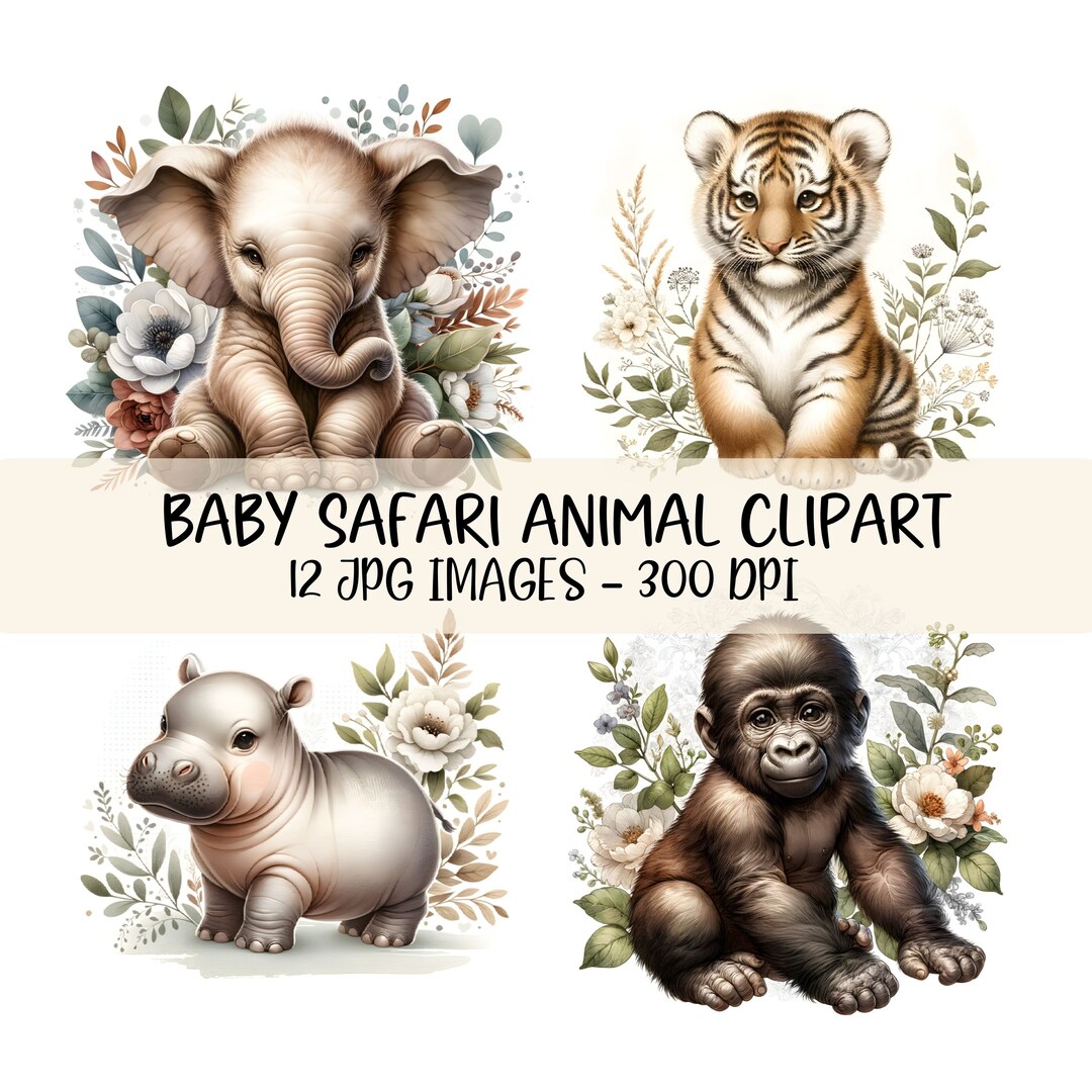 Cute Baby Safari Clipart Bundle Safari Animal JPG Watercolor Safari ...