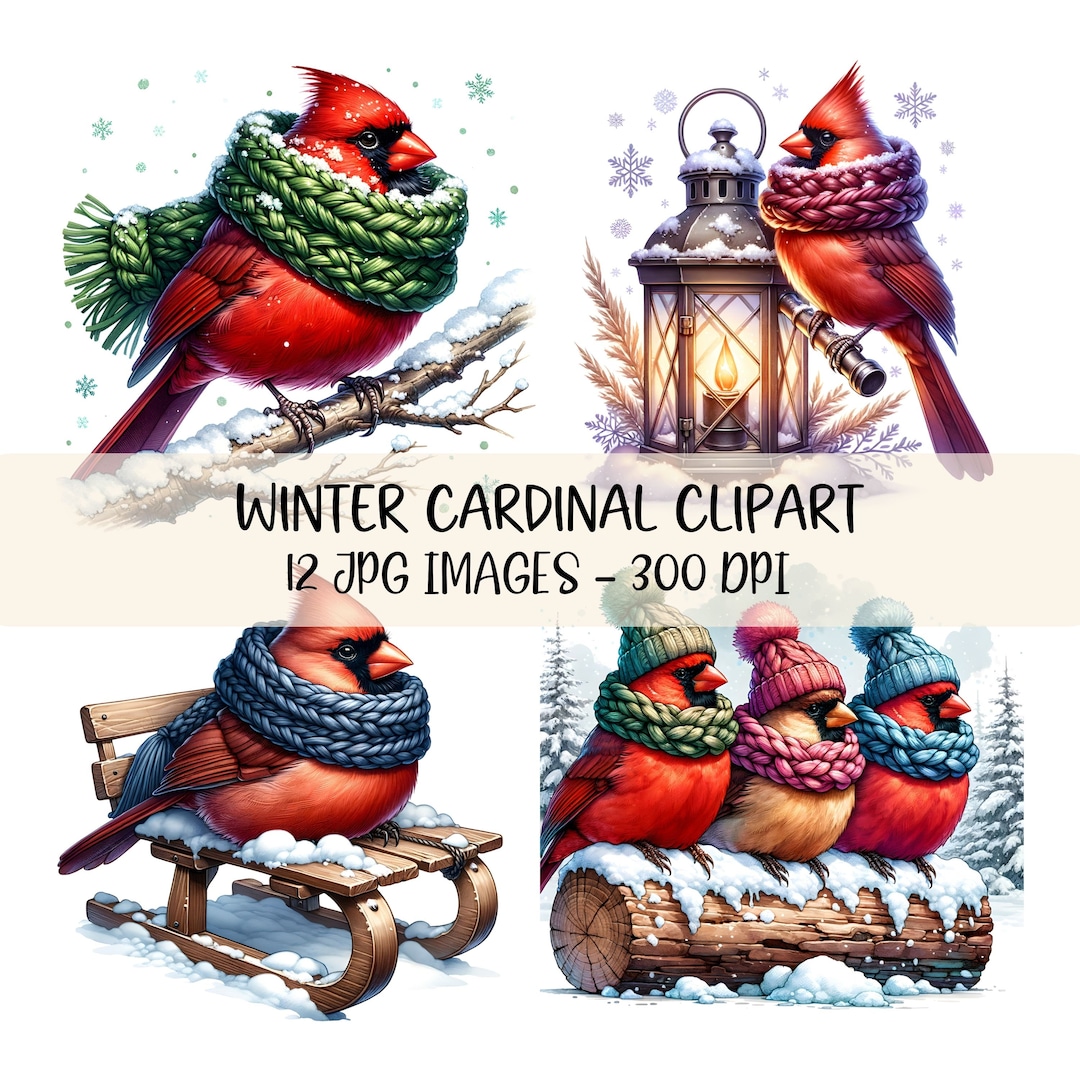Christmas Red Cardinal Clipart Bundle Winter Bird JPG Red Cardinal Snow ...
