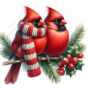 Christmas Red Cardinal Clipart Bundle Winter Bird JPG Red Cardinal Snow ...