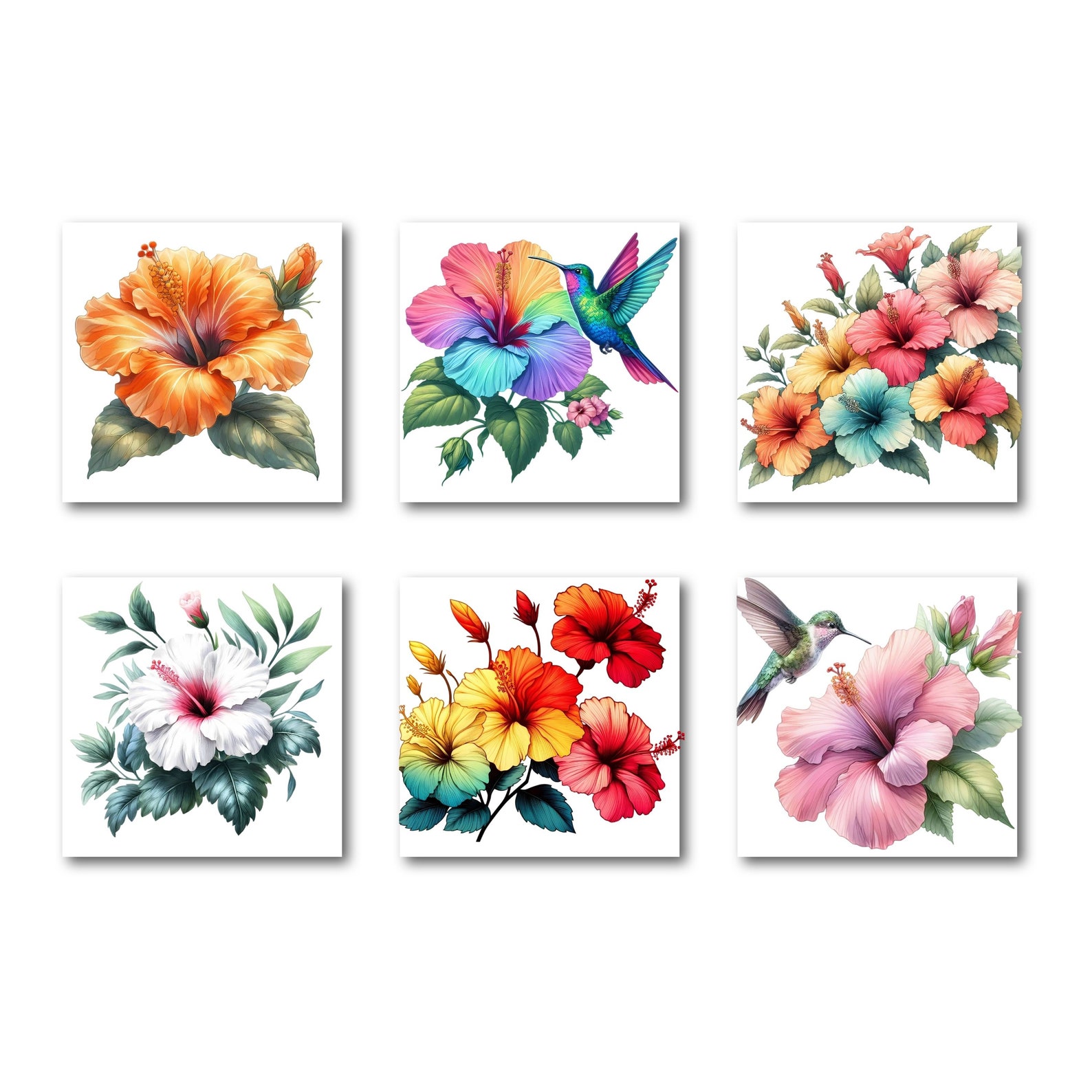 Watercolor Hibiscus Clipart Bundle Rainbow Flower PNG Hummingbird ...