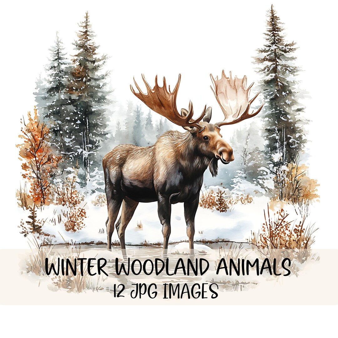 Winter Woodland Animal Clipart Bundle High Quality JPG Images ...