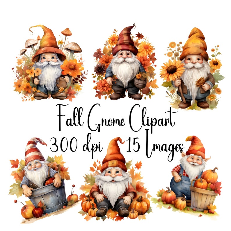 Fall Gnome Clipart Cute Watercolor Gnome Thanksgiving Transparent PNG ...