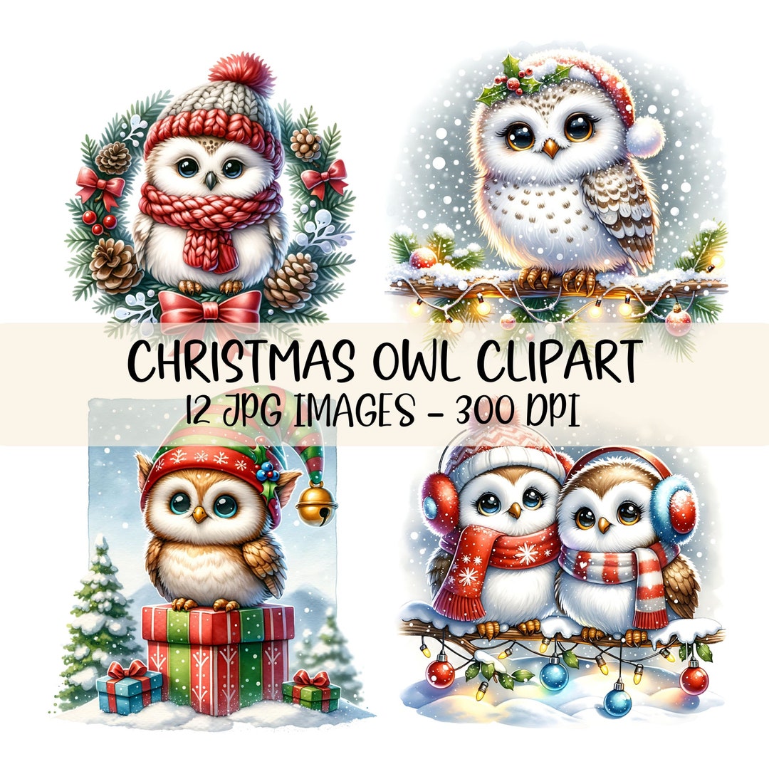 Christmas Owl Clipart Cute Winter Owl Art Festive Animal Clipart ...