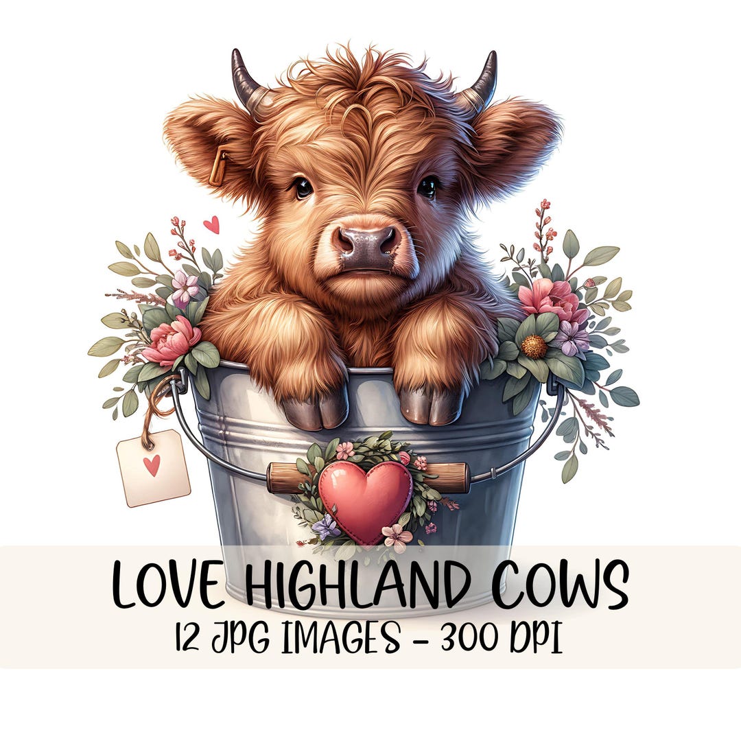 Highland Cow Valentine Clipart Bundle Cute Highland Cow Design JPG ...