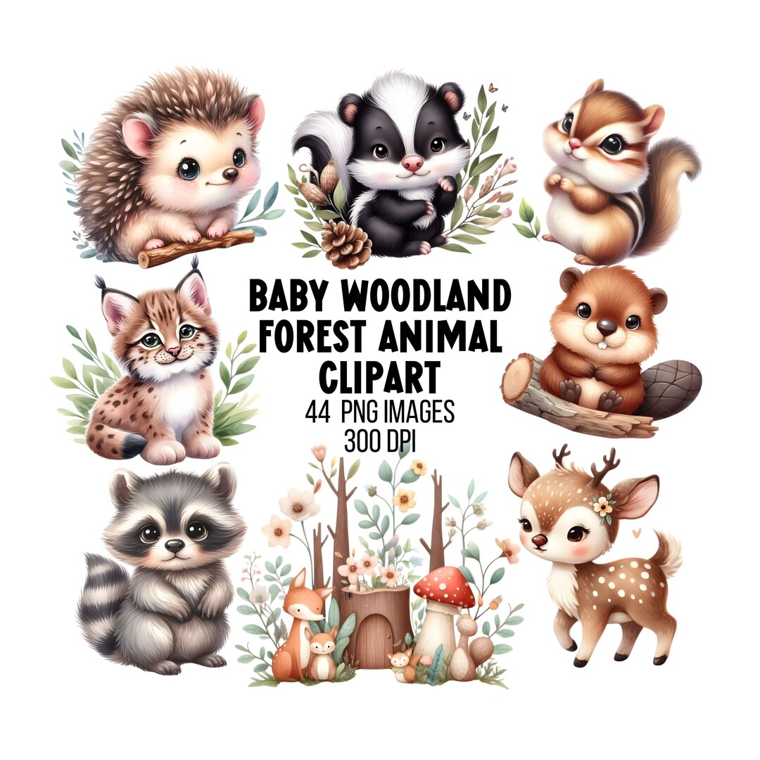 Cute Baby Woodland Animals Clipart Bundle Forest Animals PNG Watercolor ...