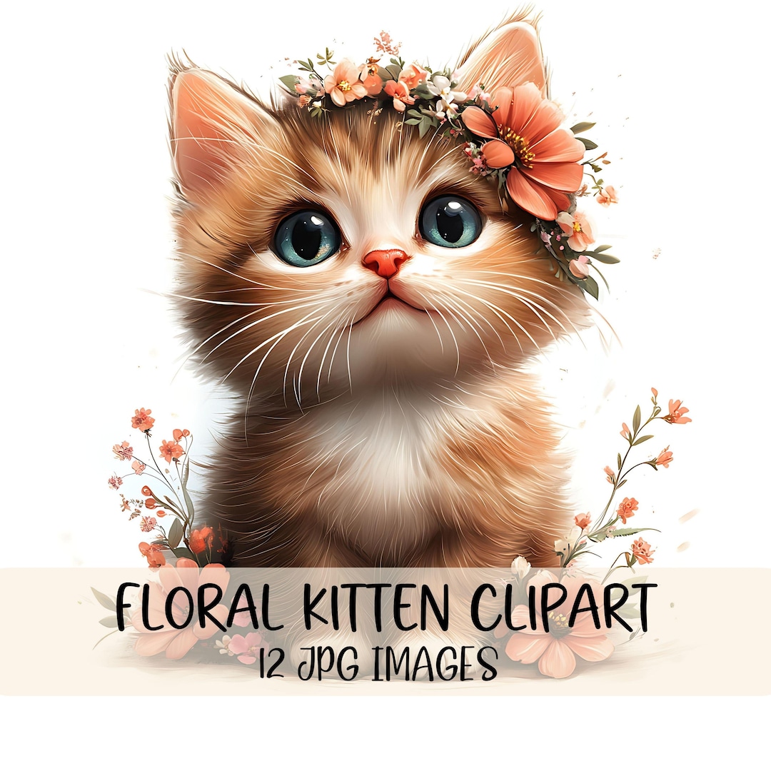 Cute Kitten Clipart Bundle Watercolor Cat Lovers Clipart High Quality ...