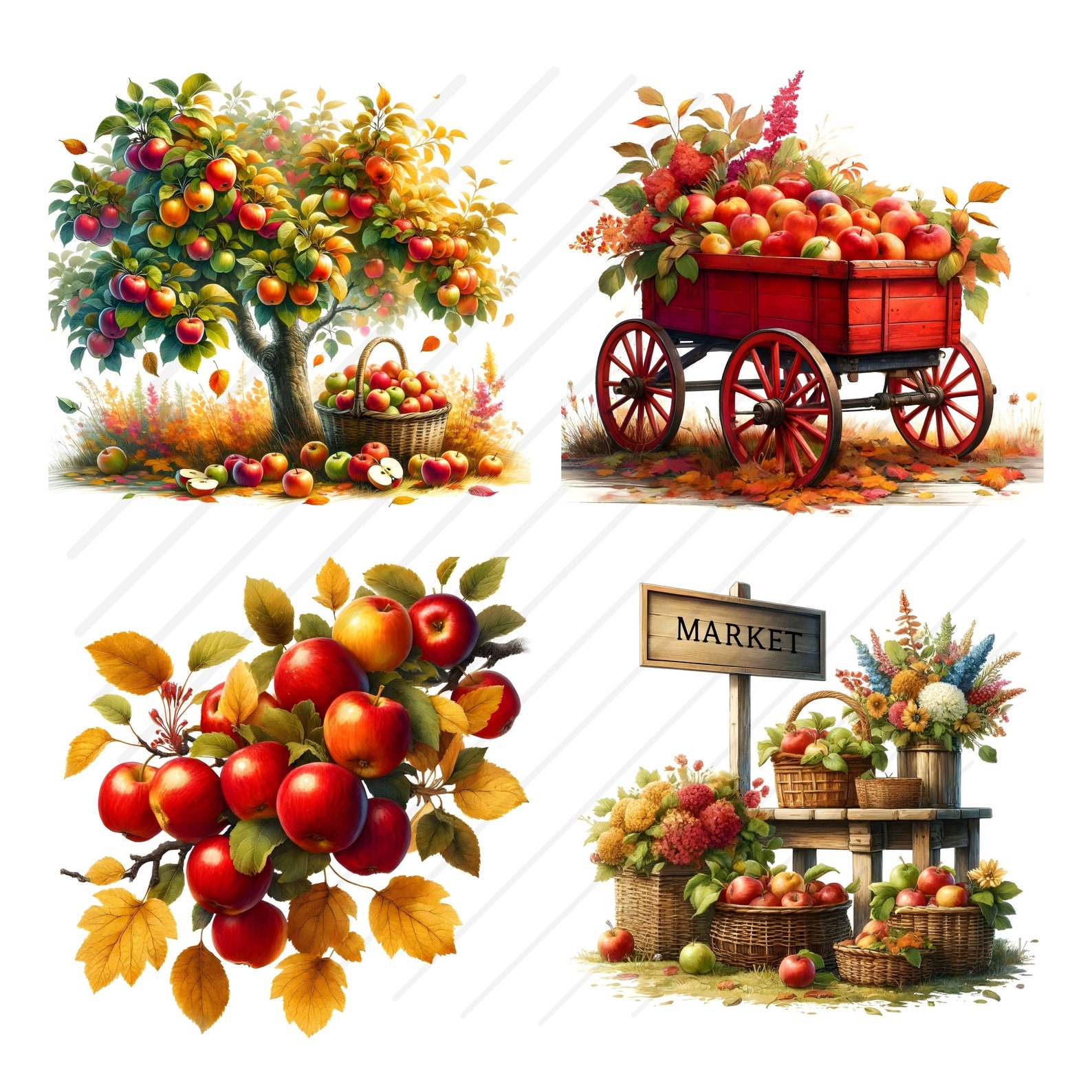 Watercolor Apple Clipart Bundle Fall Harvest Clipart Printable Fruit ...