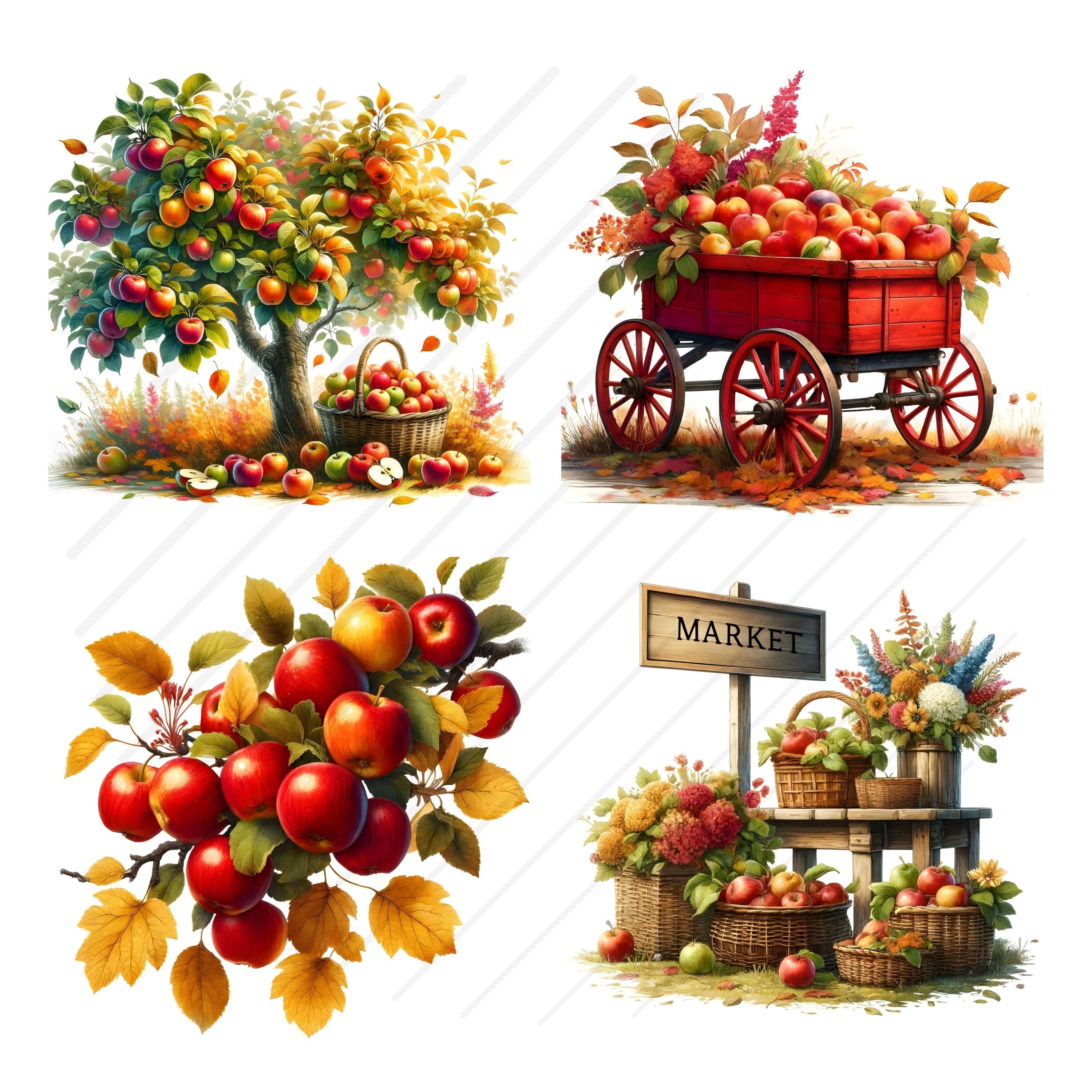 Watercolor Apple Clipart Bundle Fall Harvest Clipart Printable Fruit ...