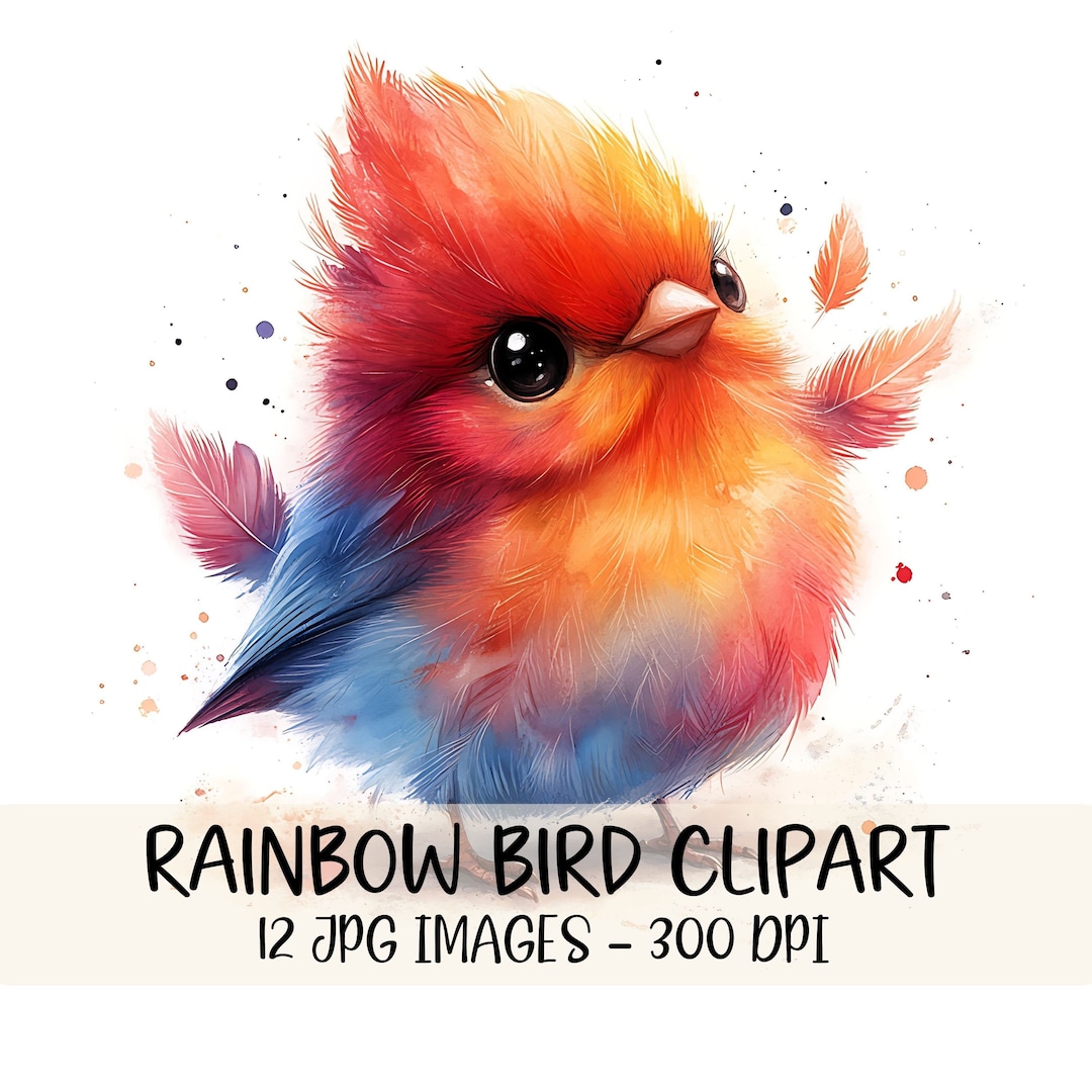 Whimsical Rainbow Bird Clipart Bundle JPG Images Digital Watercolor ...