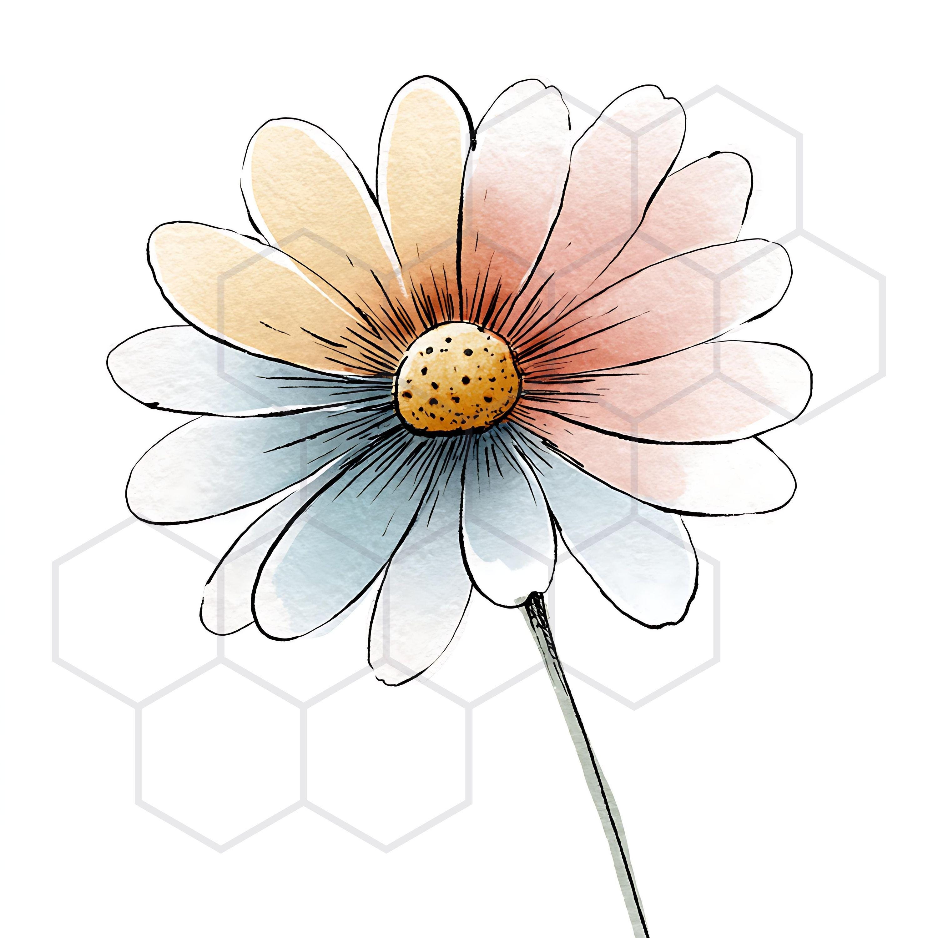 Watercolor Daisy Clipart Daisies Clip Art Spring Flower High Quality ...