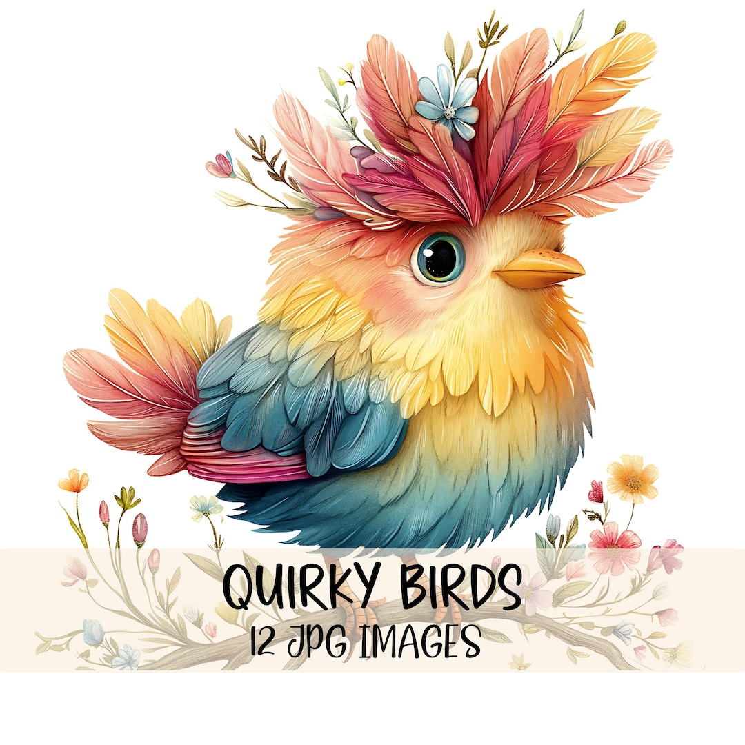Whimsical Birds Clipart Colorful Bird Digital Clipart Watercolour ...