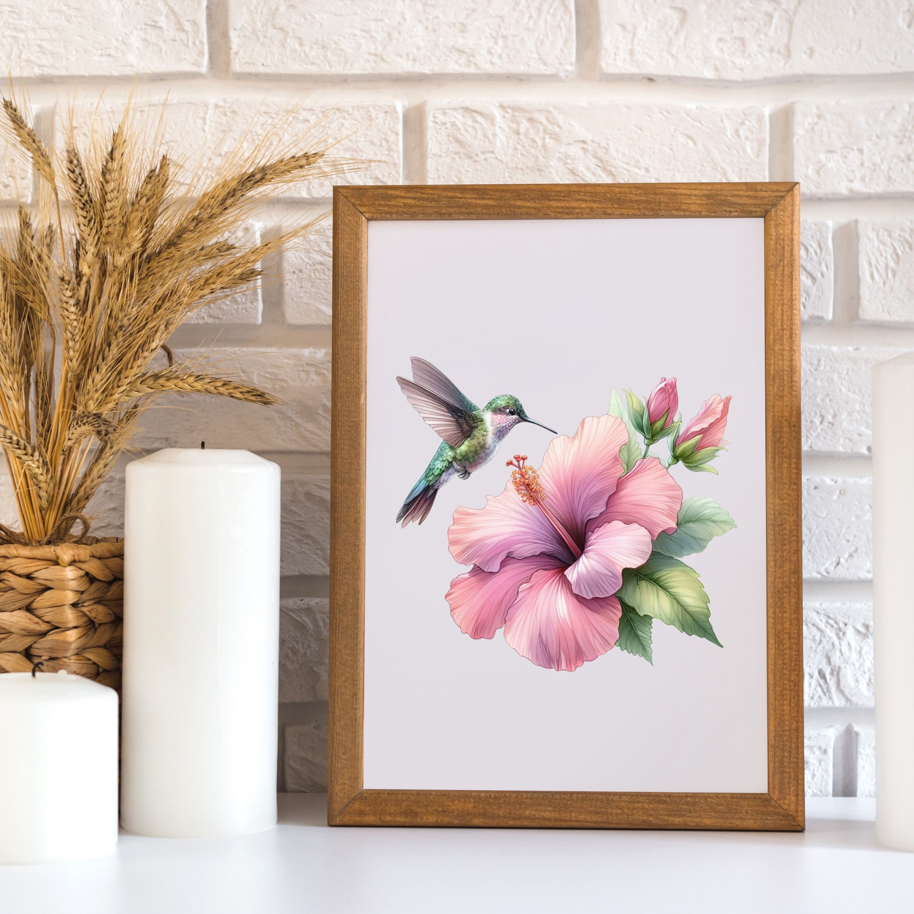 Watercolor Hibiscus Clipart Bundle Rainbow Flower PNG Hummingbird ...
