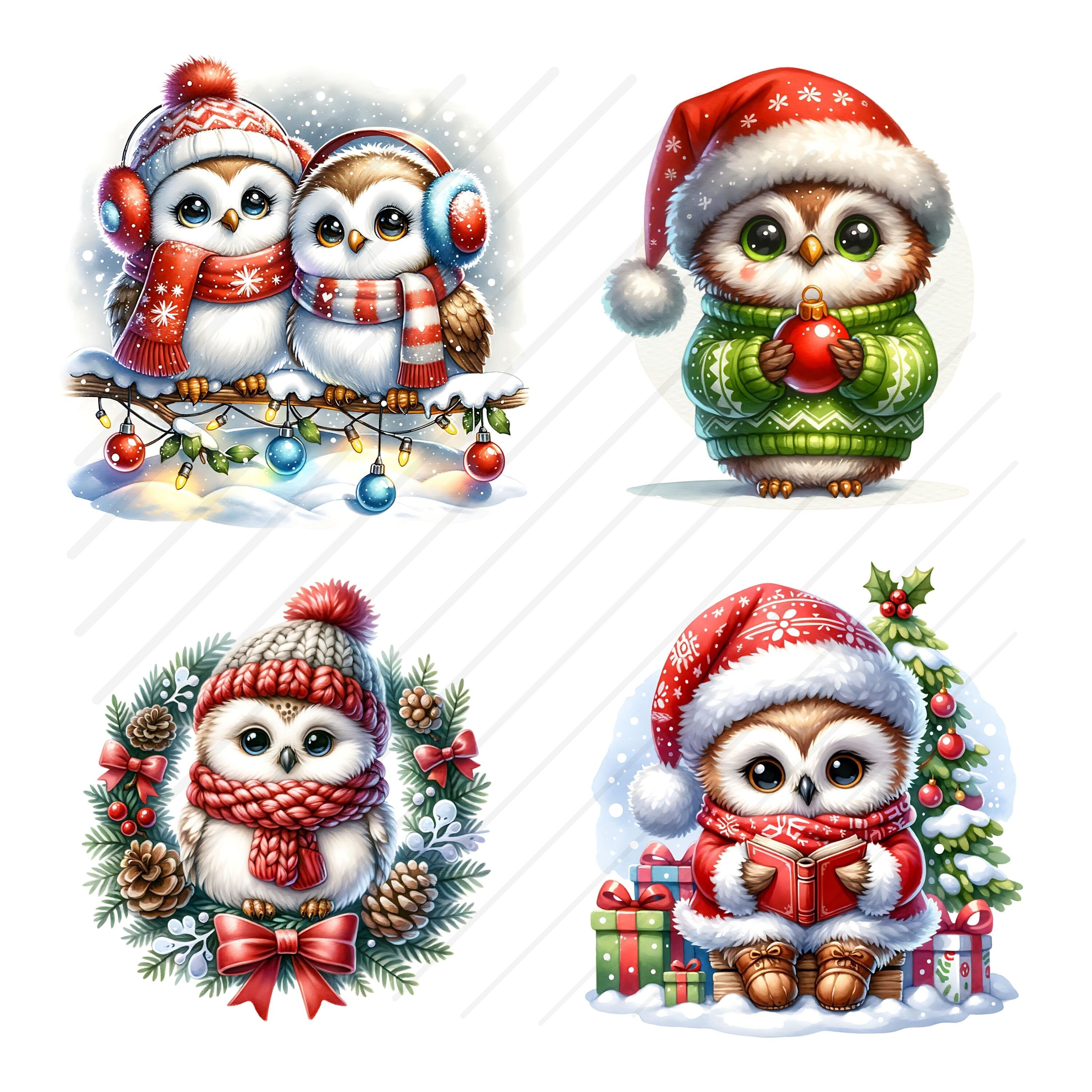 Christmas Owl Clipart Cute Winter Owl Art Festive Animal Clipart ...