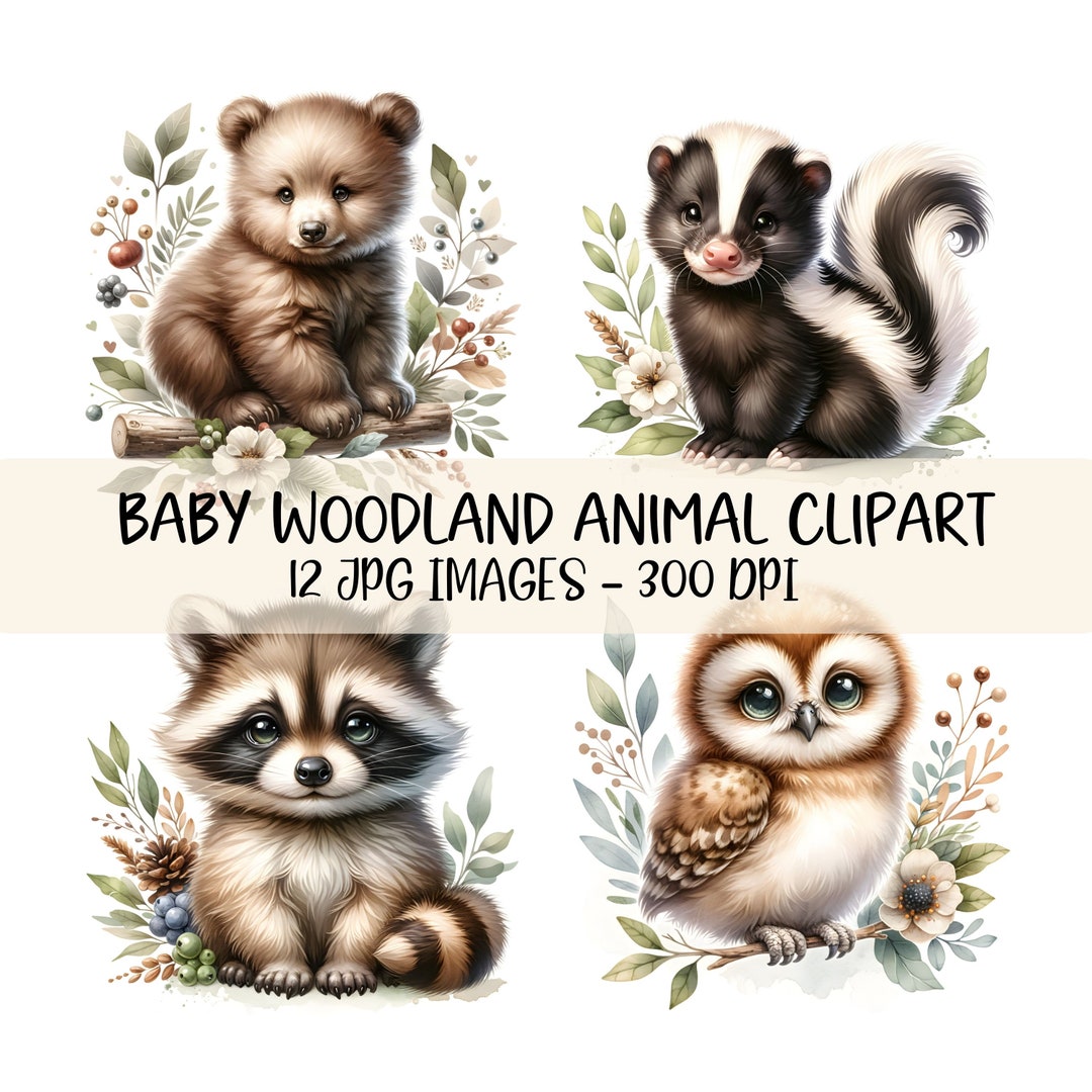 Cute Baby Woodland Animals Clipart Bundle Forest Animals JPG Watercolor ...