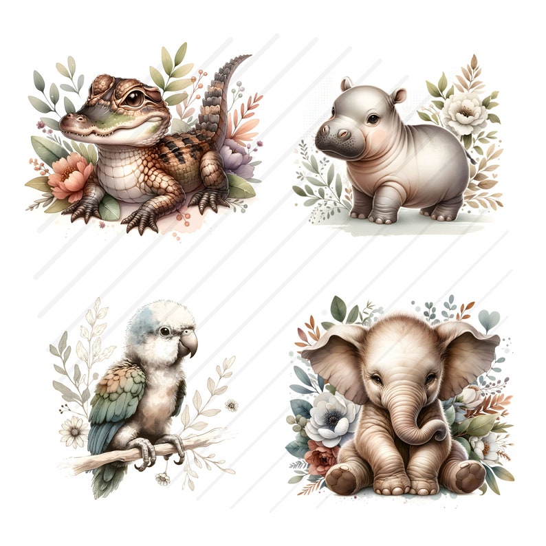 Cute Baby Safari Clipart Bundle Safari Animal JPG Watercolor Safari ...