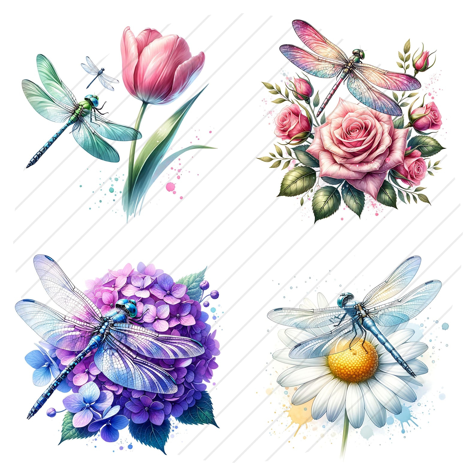 Floral Dragonfly Clipart Bundle Watercolor Dragonflies JPG Images ...