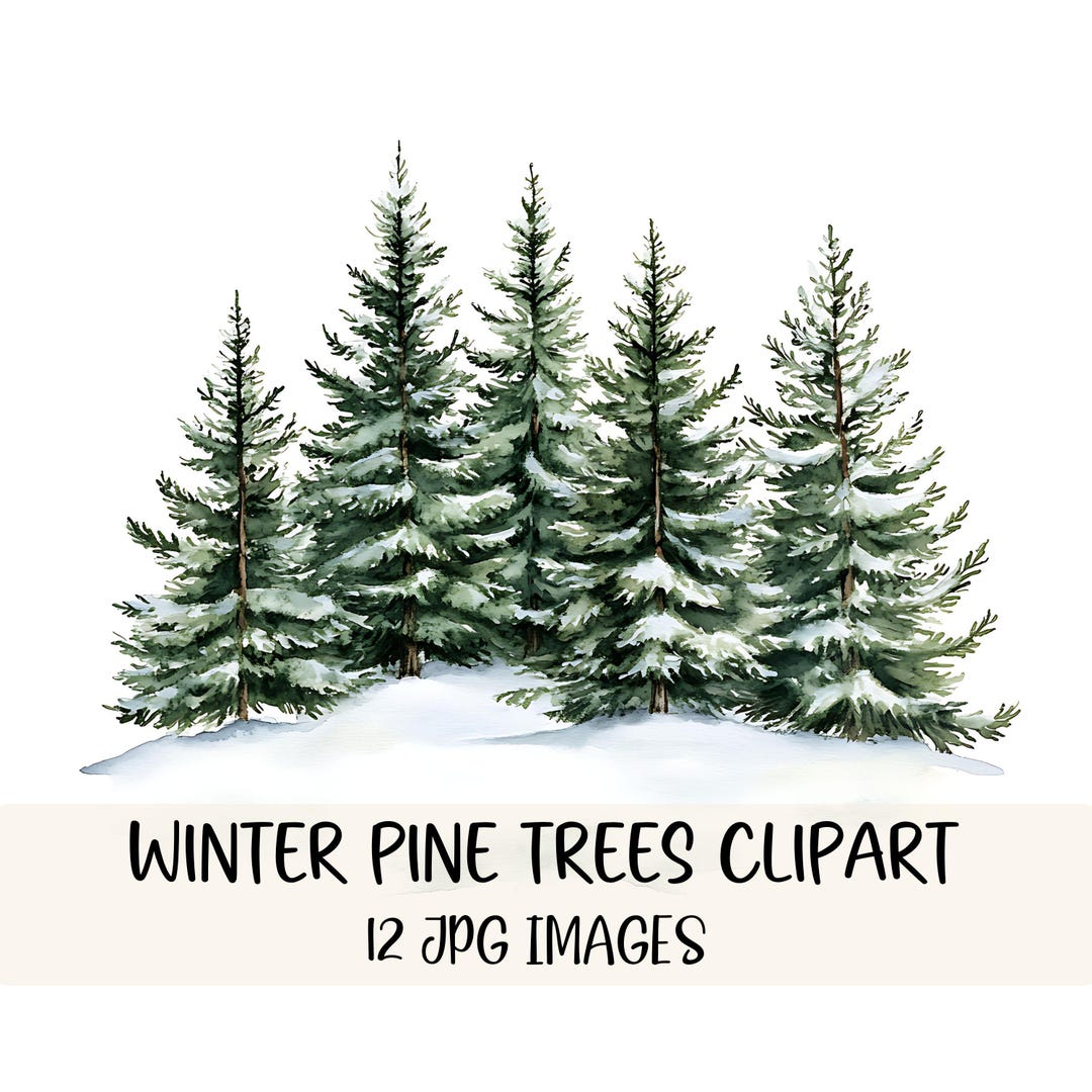 Snowy Pine Tree Clipart Winter Landscape High Quality Jpgs Pine Tree ...