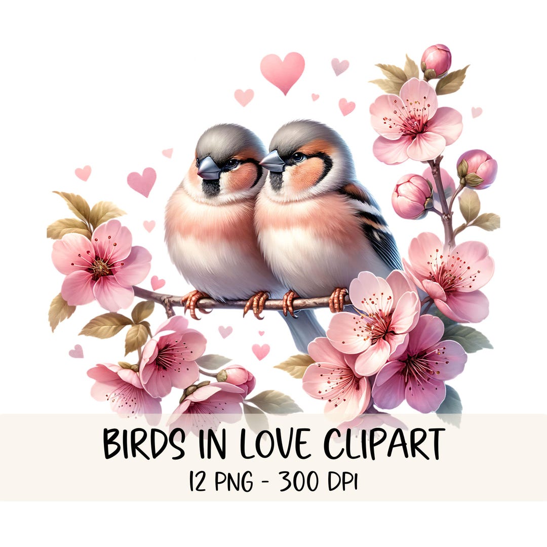 Cute Bird Clipart Bundle Watercolor Birds PNG Images Bird Couple ...