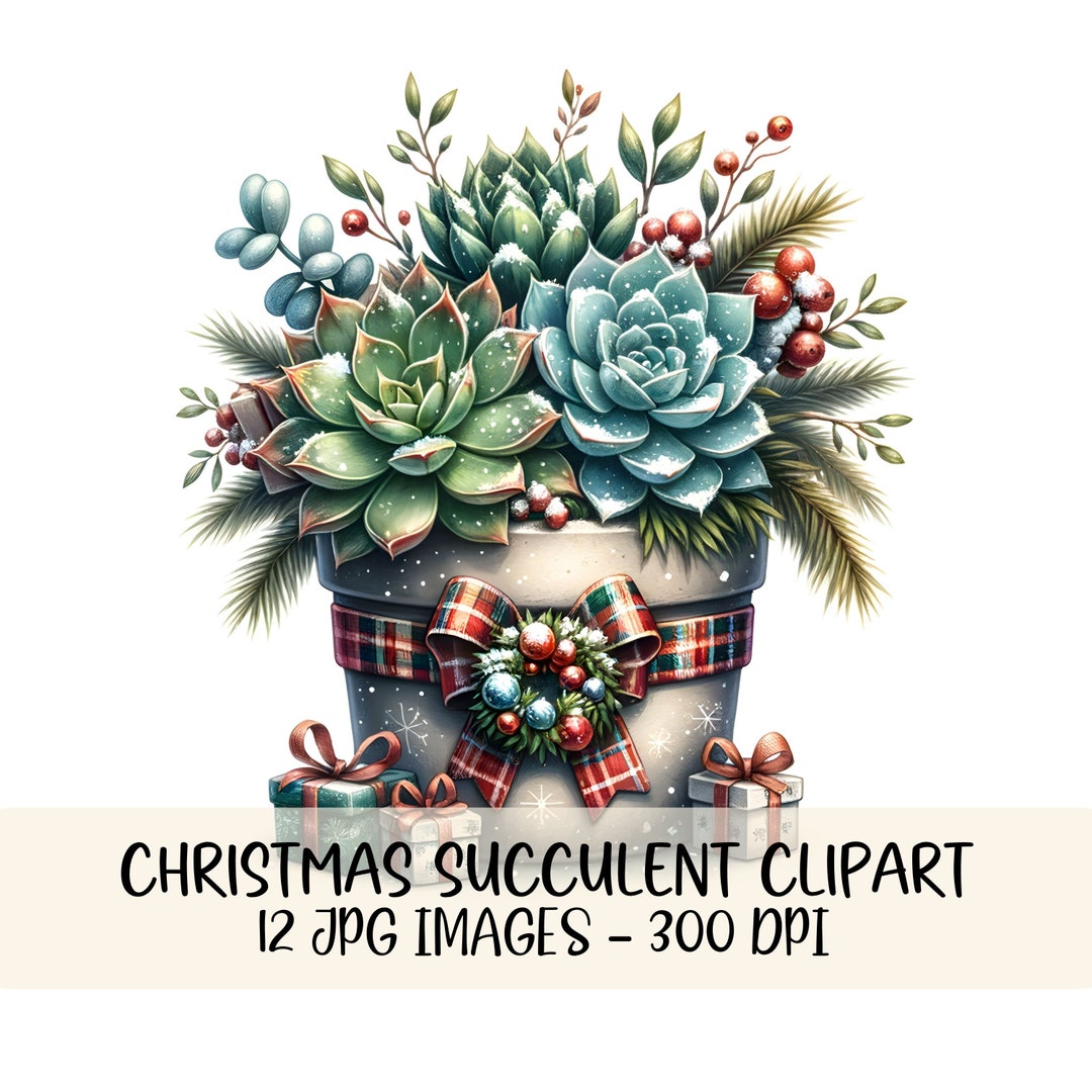 Christmas Succulent Clipart Festive Succulents Digital Art Winter ...