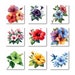 Watercolor Hibiscus Clipart Bundle Rainbow Flower PNG Hummingbird ...