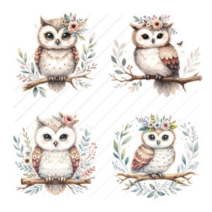 Floral Owl Clipart Bundle Watercolor Owl JPG Images Woodland Animal ...