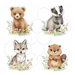 Cute Baby Woodland Animals Clipart Bundle Forest Animals High Quality ...