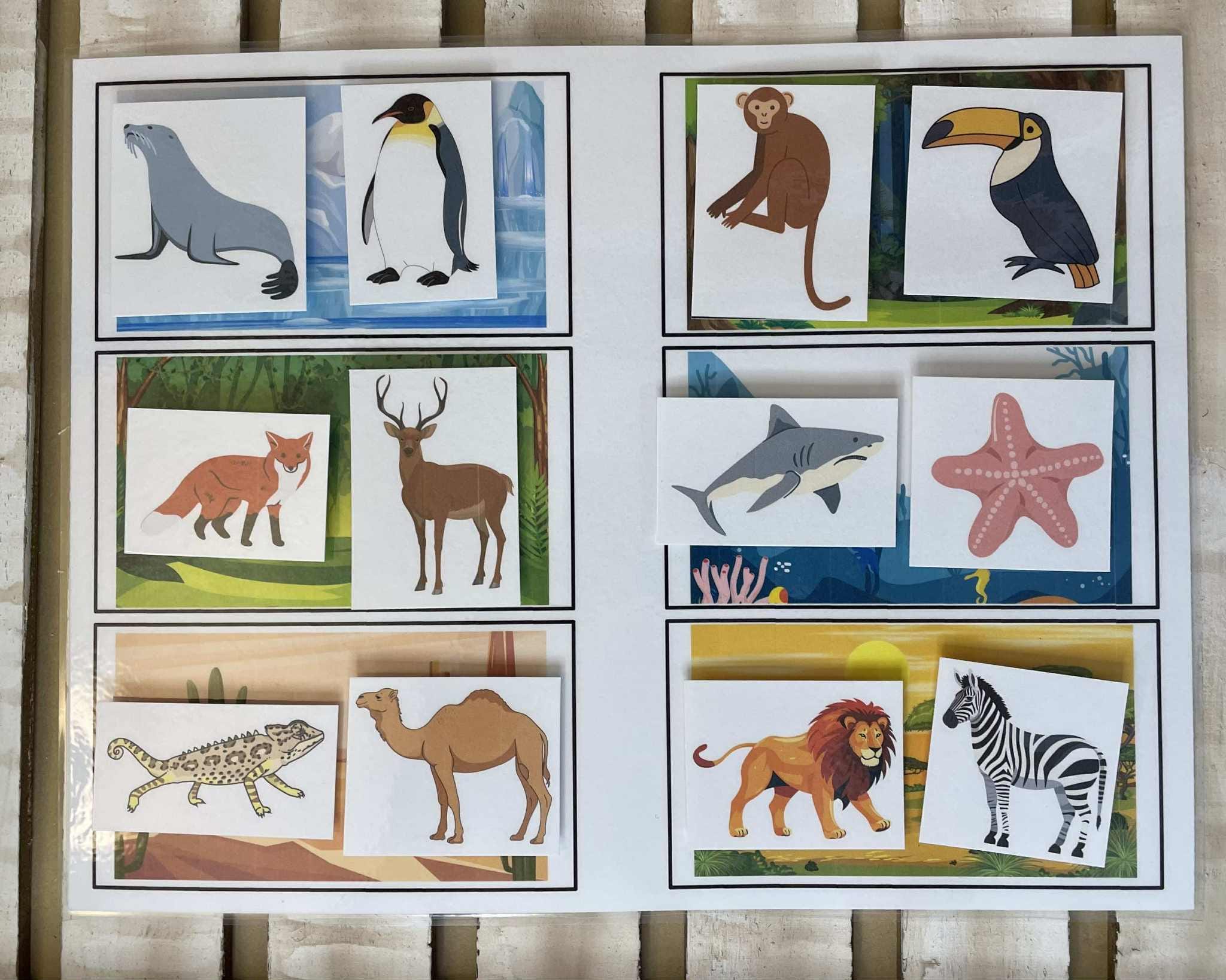 Children's Animal Homes/biomes Sorting Activity - Etsy