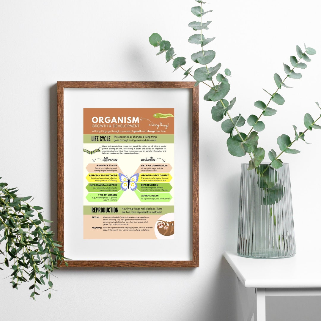 Organism Growth and Development by the Peaceful Forest Academy - Etsy
