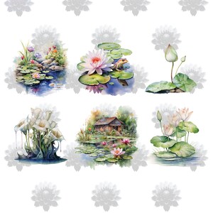 Watercolor Lily Pond Clipart - Springtime Lily Pad Illustrations, PNG ...