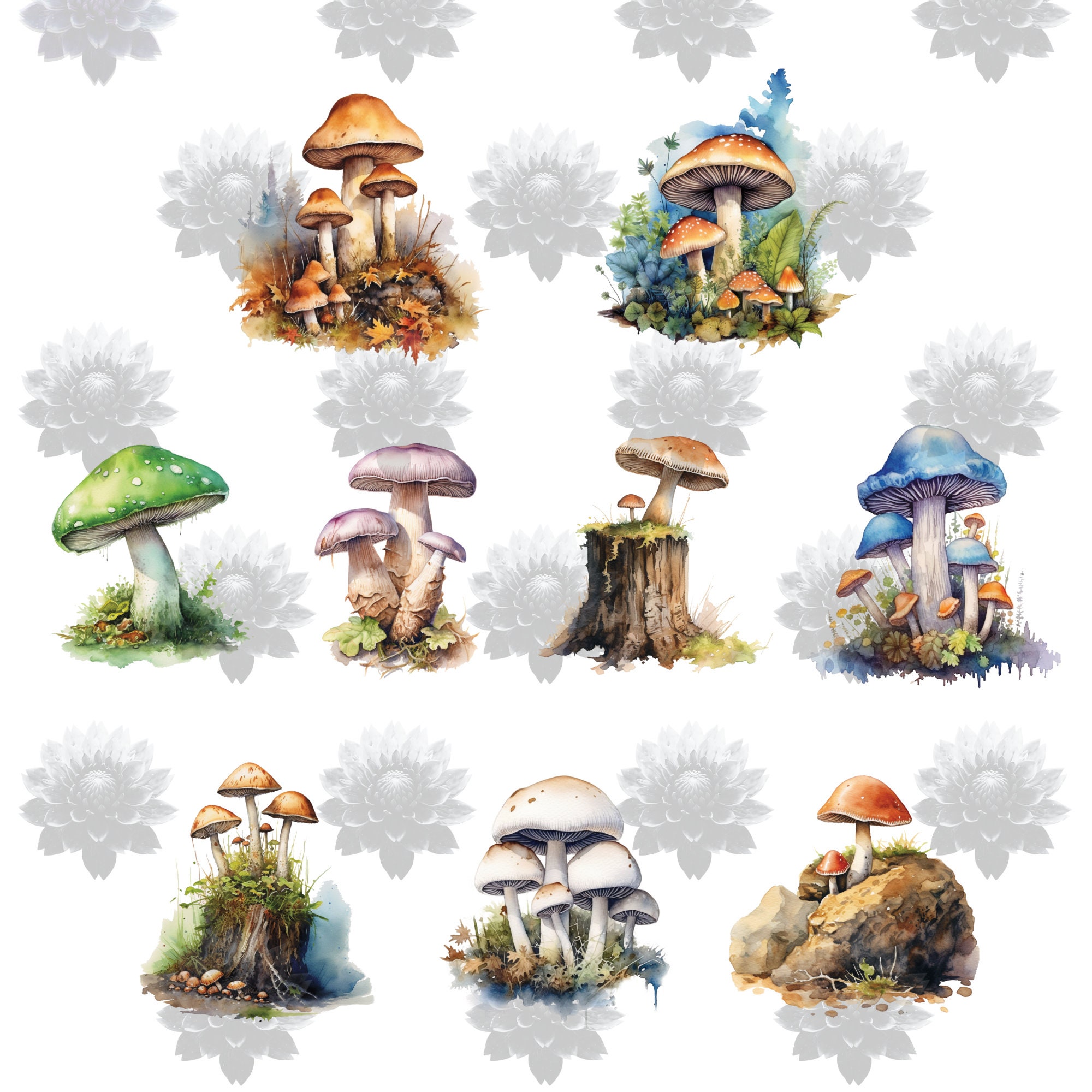 Watercolor Mushrooms Clipart Cute Forest Nature Toadstool Clipart PNG ...