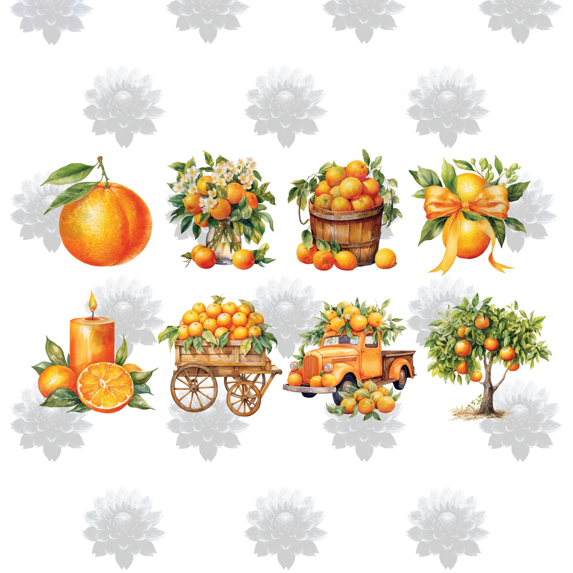 Watercolor Oranges Clipart - Citrus, PNG Graphics, Instant Download for ...