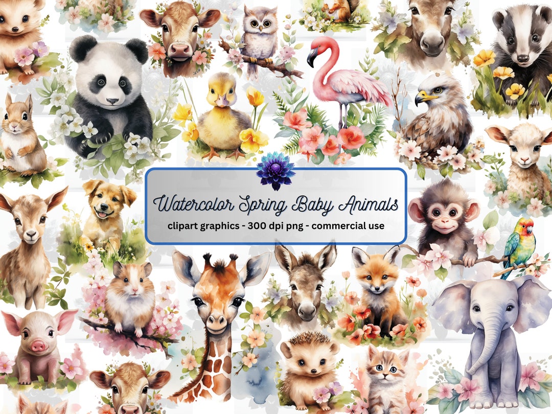 Watercolor Spring Baby Animals Clipart - Cute Animals in PNG Format ...