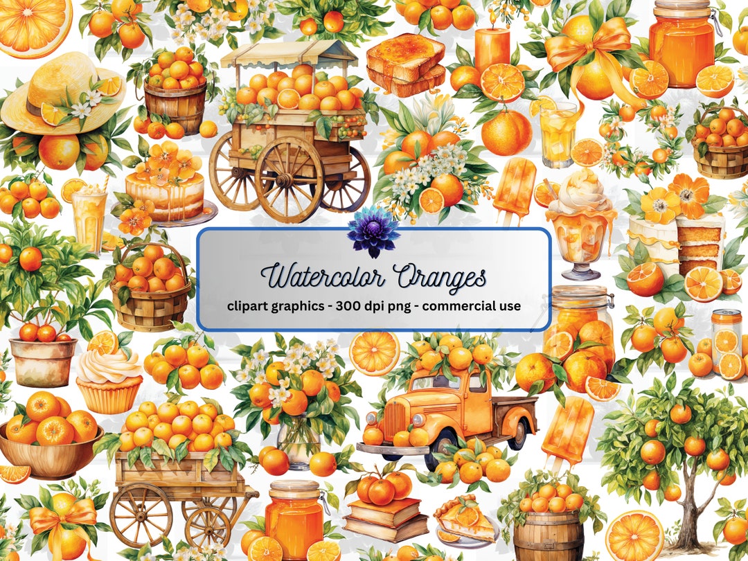 Watercolor Oranges Clipart - Citrus, PNG Graphics, Instant Download for ...