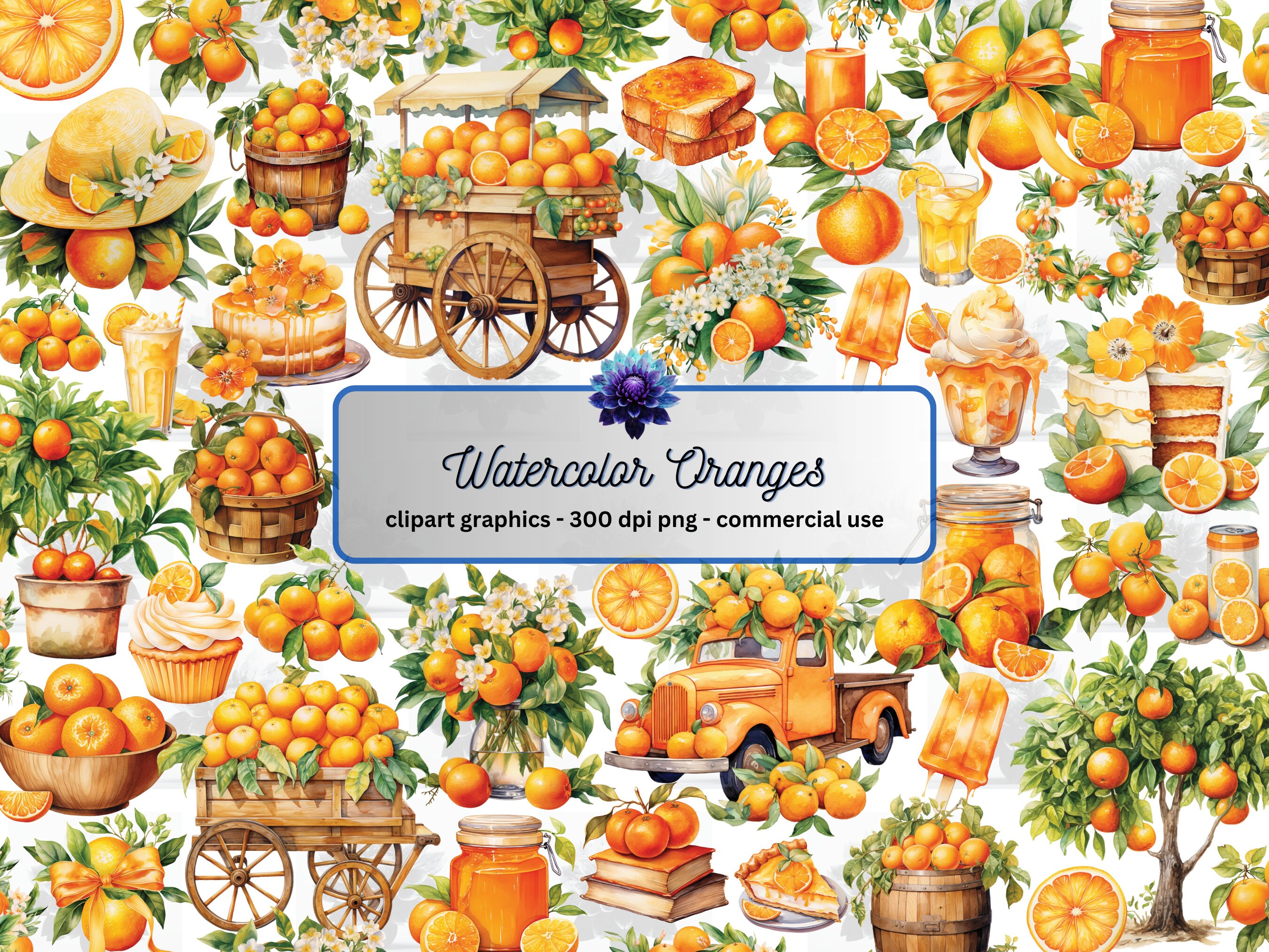 Watercolor Oranges Clipart - Citrus, PNG Graphics, Instant Download for ...